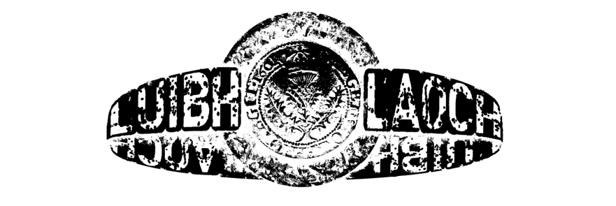 Artist Bio - Luibh Laoch